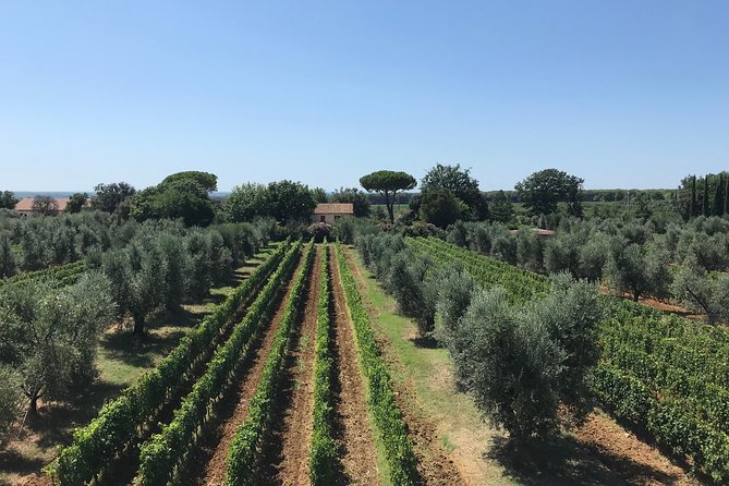 Private wine tour with sommelier - the magical Bolgheri (2 wineries) - Final Thoughts