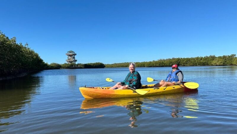 Robinson Preserve Mangrove Tour - Wildlife Encounters and Sightings