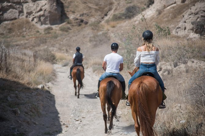 Santorini Horse Riding to Black Sandy Beach - The Sum Up