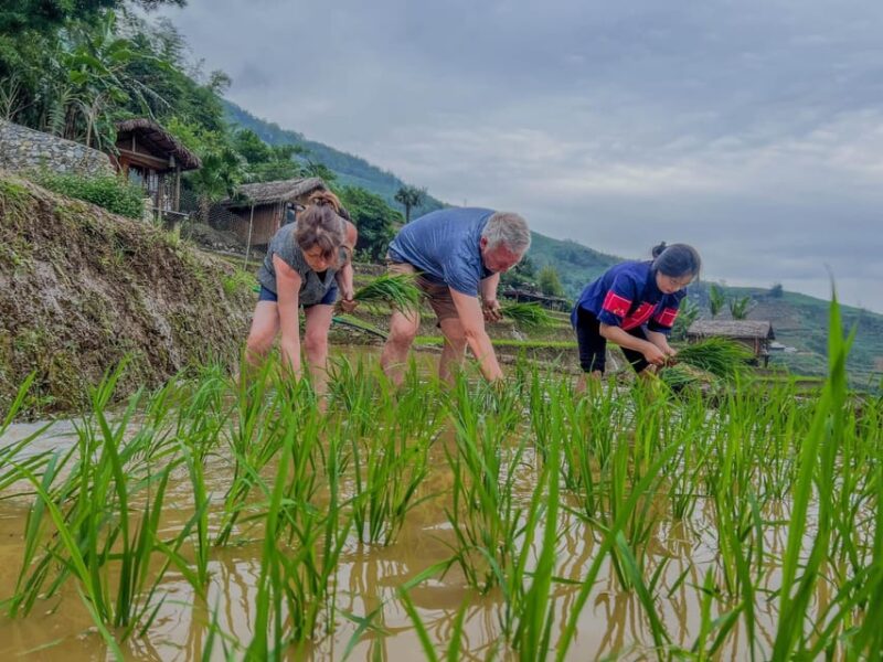 SAPA TREKKING & HOMESTAY: 3D2N - In Summary
