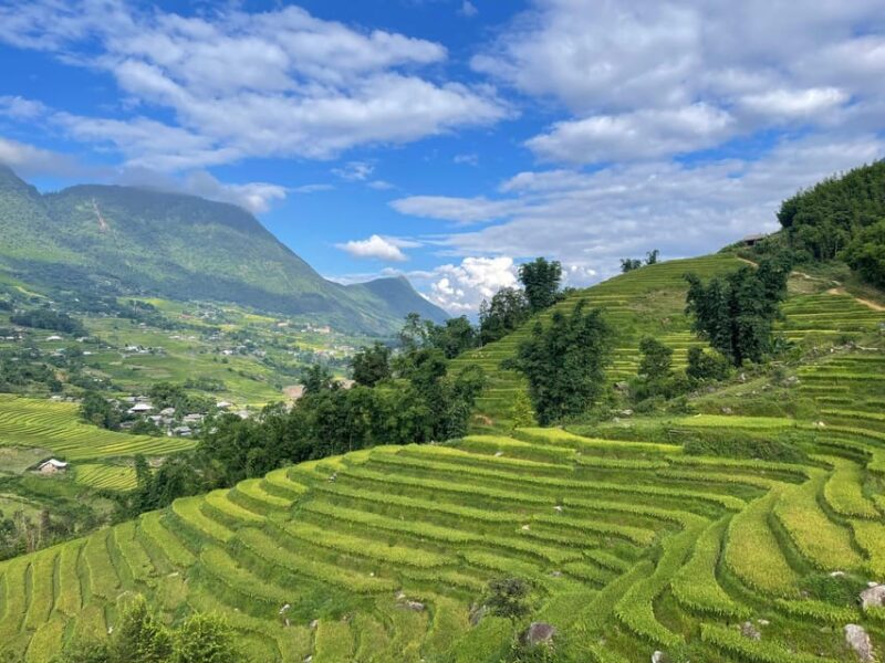 Sapa: Trekking Sapa One Day With Group Tour - Final Thoughts