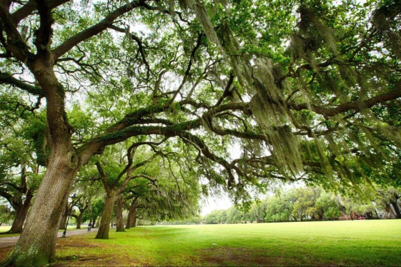 Savannah: Riverboat Cruise & City Tour Combo - Frequently Asked Questions