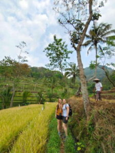 Selogriyo Temple, treking Java Rice Terrace hidden waterfall