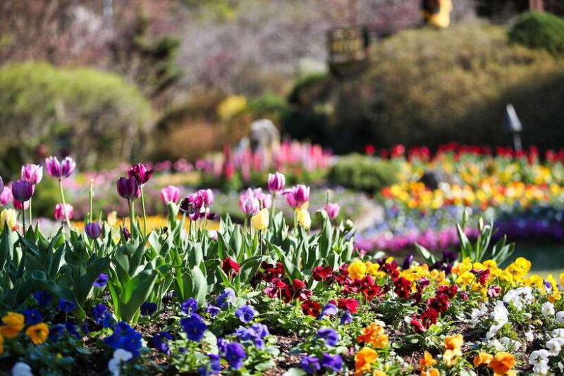Seoul: Pocheon Art Valley and Fruit Picking Day Tour - The Sum Up: Who Is This Tour Best For?