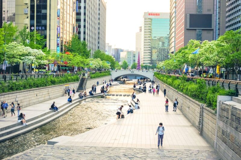 Seoul: Private tour in French with a Korean guide - Detailed Breakdown of the Experience