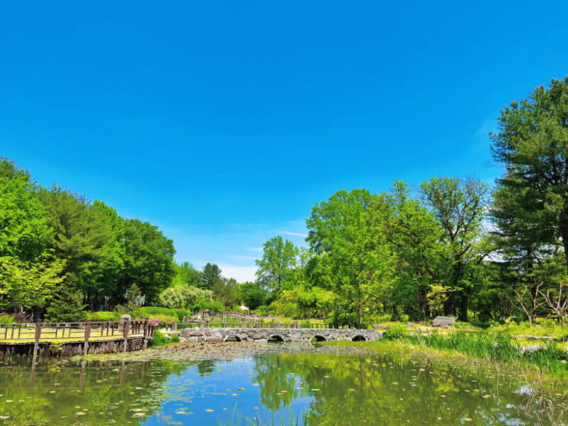 Seoul: Strawberry, Nami Island & Garden Of Morning Calm Tour - Final Thoughts
