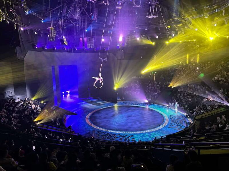 Shanghai ERA Theatre Acrobatics Ticket - Who Will Enjoy This Experience?