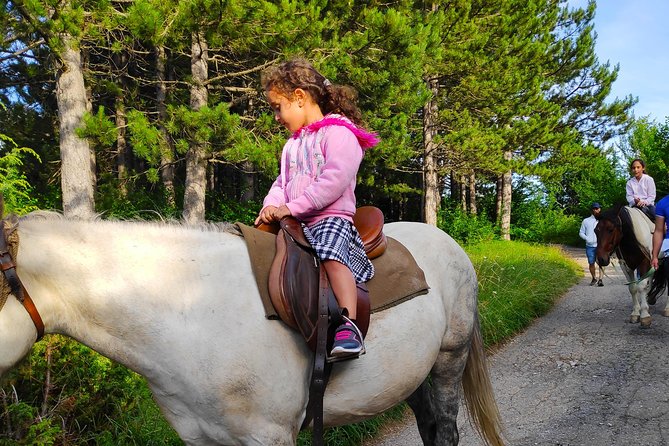 Short Horseback riding - Kolasin - Final Words