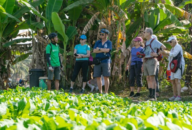 Siem Reap: Guided Countryside Bike Tour - The Sum Up