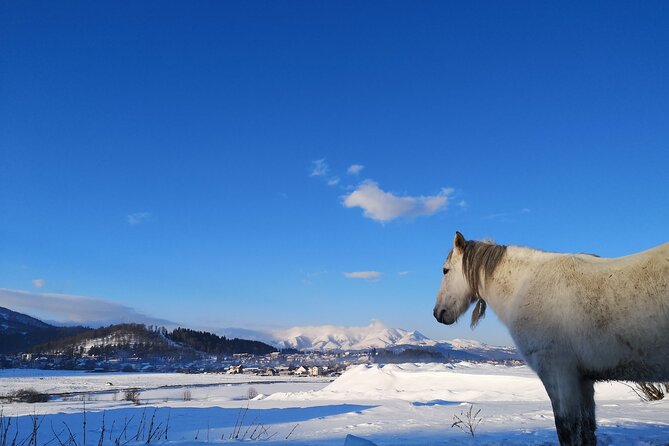 Ski & Snow Tour to Bakuriani from Kutaisi with Borjomi Stop - Frequently Asked Questions