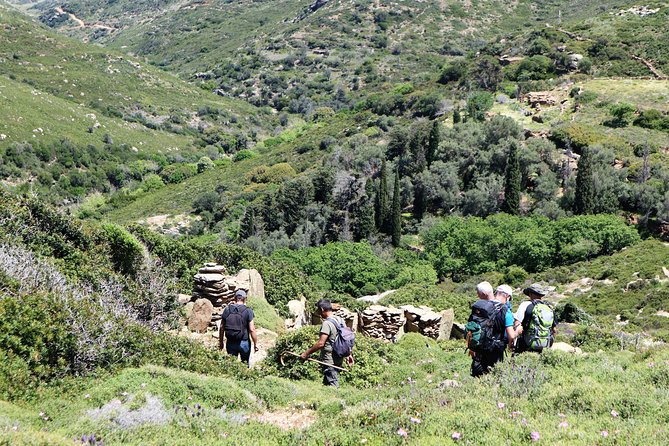 Small-Group Guided Hiking Tour in Andros with picnic on the beach - The Value of the Experience