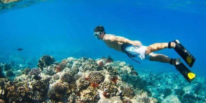 Snorkeling in Port City - Final Thoughts: Is Snorkeling in Port City Worth It?