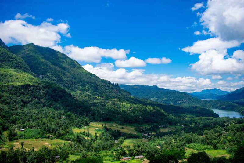 Sri Lanka: 4-day tour Ancient Ruins, Wildlife, Hill Country - Final Thoughts: Is This Tour for You?