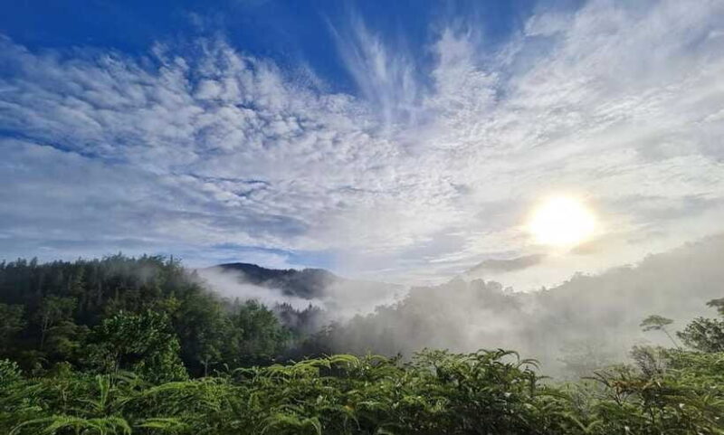 Sri Lanka : Sinharaja Rainforest Guided Trek with Pickup - FAQ