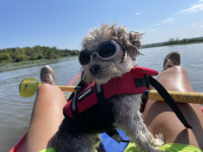 Starved Rock State Park: Guided Kayaking Tour - FAQ
