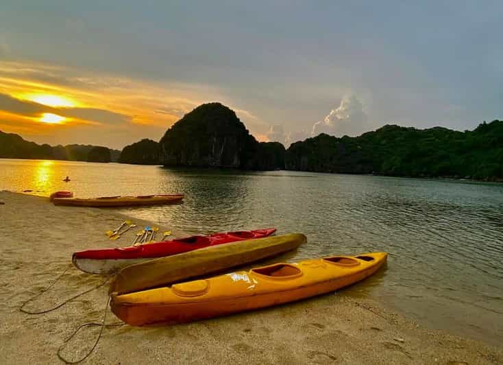Sunset and Magical Bioluminescence plankton Night Kayak Tour - Final Thoughts: Is This Tour Right for You?