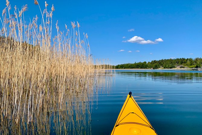 Sunset Kayak Tour in the Stockholm Archipelago + Swedish Fika - The Sum Up: Who’s It For?