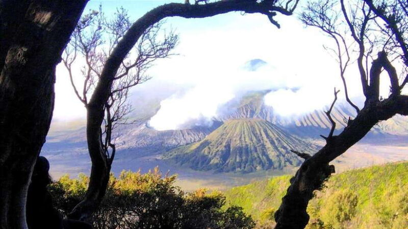 Surabaya or Malang : Bromo, Tumpaksewu waterfall in 2 days - Who Is This Tour Best For?