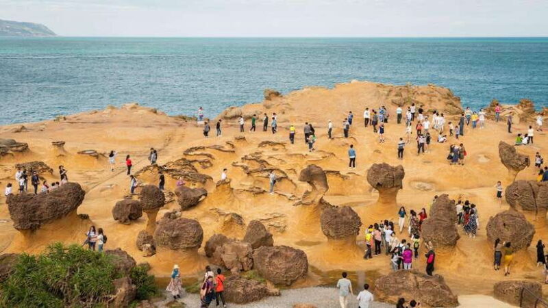 Taiwan Taipei: Customized Private Tour - The Sum Up