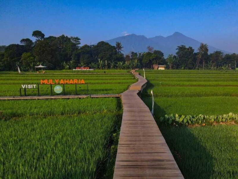The Beautiful Garden, Rice Terrace and Waterfall In Bogor - Final Thoughts: Who Should Choose This Tour?
