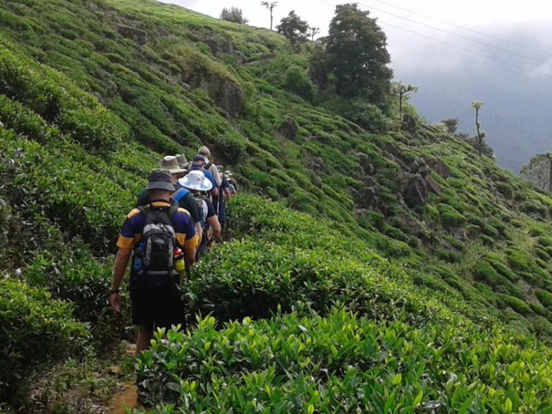 The Pekoe Trail, Stage 14,St. Catherine To Makulella - Who Should Consider This Tour?