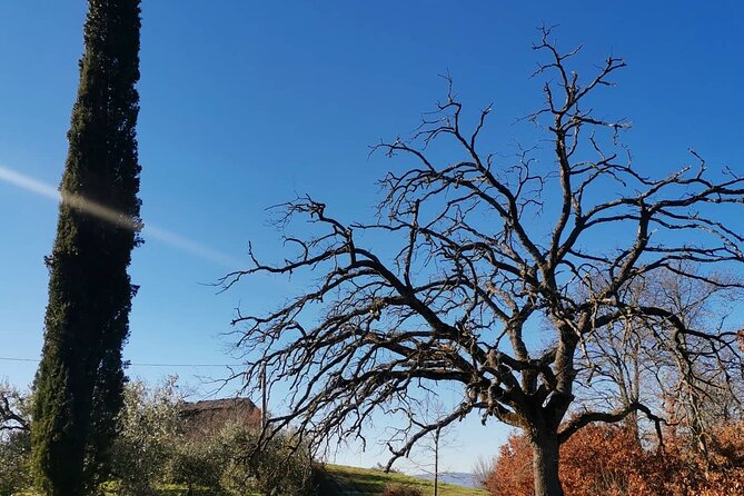 The spell of Lake Trasimeno - Trekking Tour - FAQ