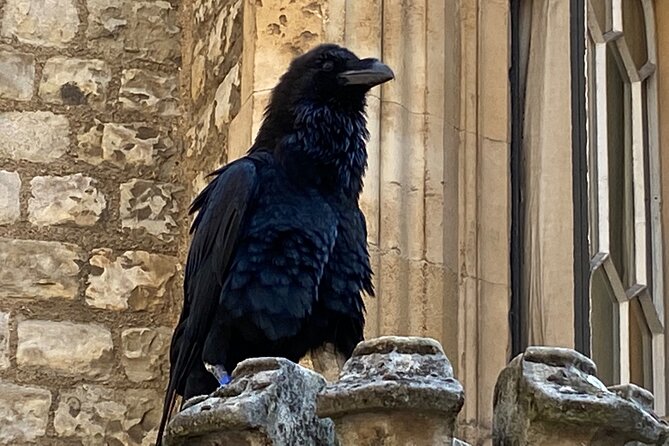 The Tower of London - Small Group Tour with a Local Expert - The Sum Up