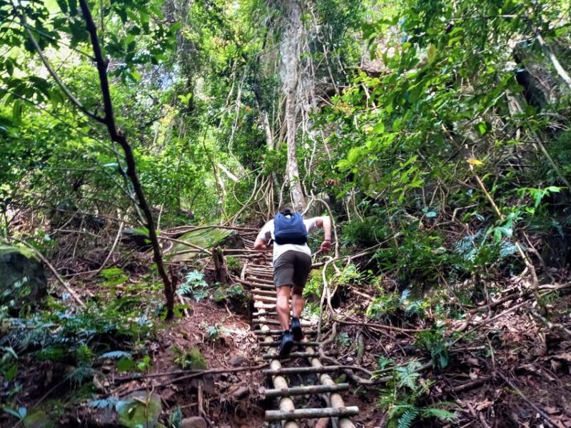 Tien Son Dinh 1-Day Trekking Tour Phu Quoc - Final Thoughts