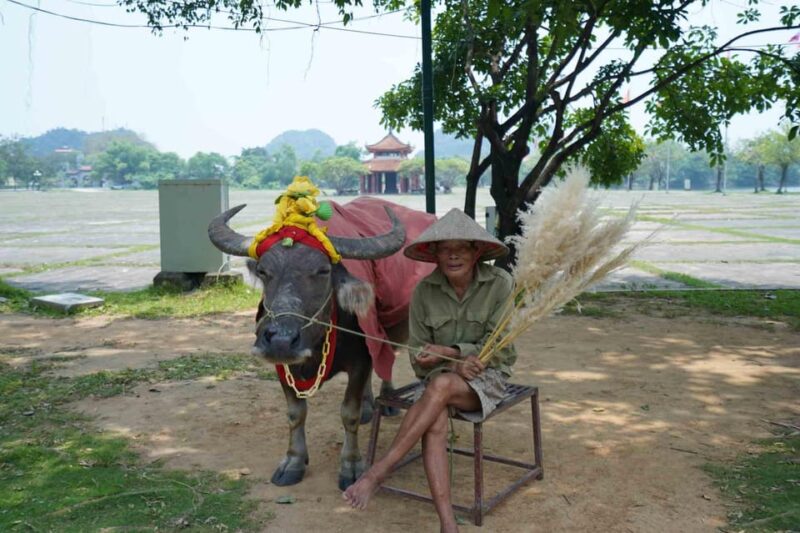 Tour Hoa Lu - Tam Coc - Mua Cave - Biking with Buffet Lunch - FAQs