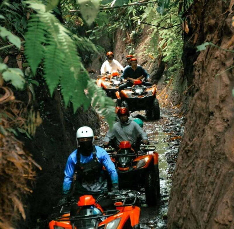 Ubud ATV Quad Bike Adventure With Lunch - Analyzing the Value and Experience