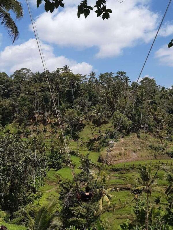 Ubud: Campuhan Ridge Walk, Tegallalang Rice Terrace & More - Final Thoughts