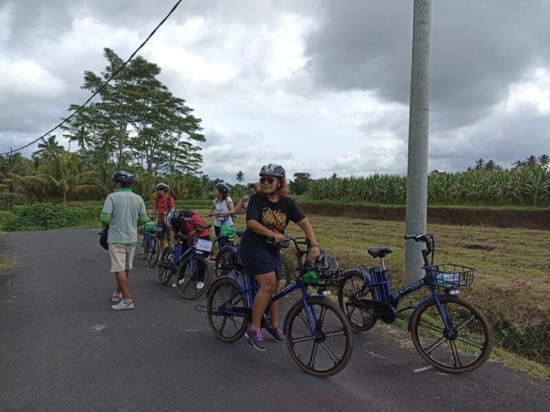 Ubud e-Bike Tour & Whitewater Rafting - The Sum Up