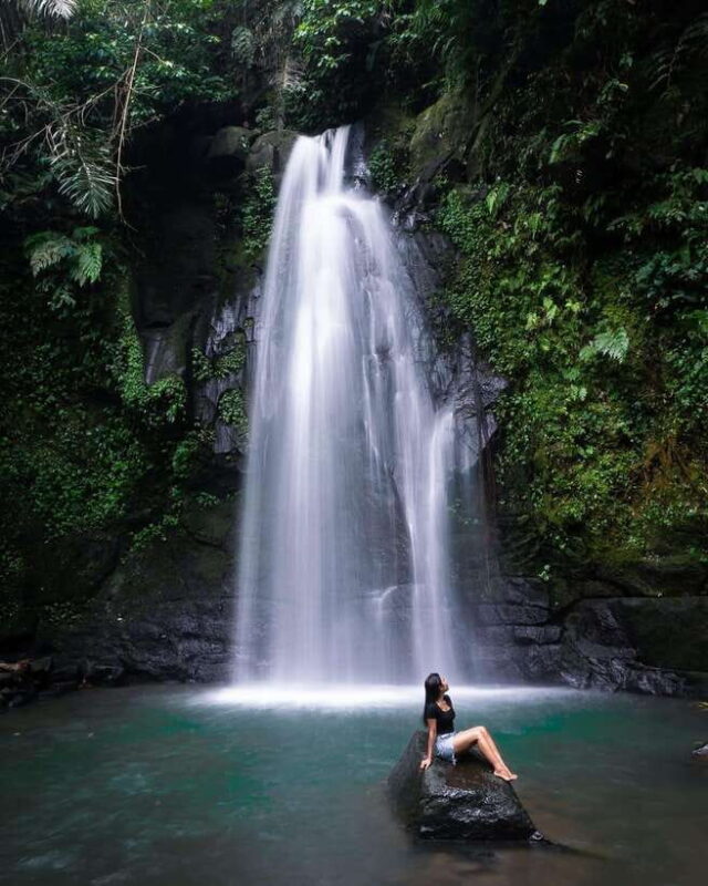 Ubud: Hidden Waterfall, Monkey Forest, Rice Terrace & Swing - The Value of This Tour