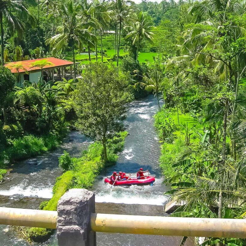 Ubud: White Water Rafting Adventure Tour - Itinerary Breakdown: What You Can Expect
