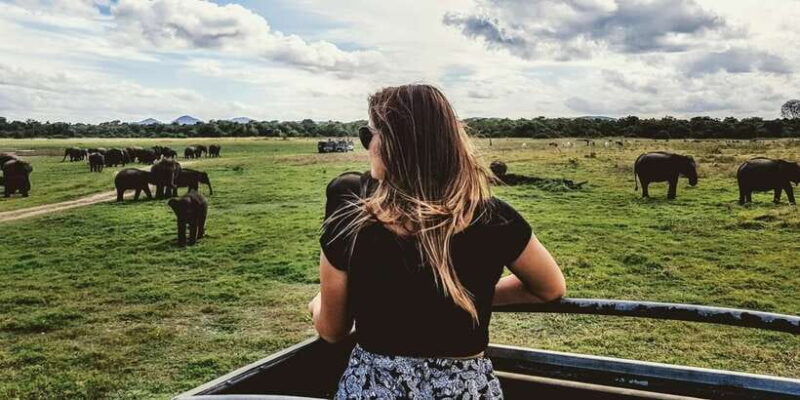 Udawalawe: National Park Safari & Elephant Transit Home Tour - An Authentic Wildlife Encounter in Sri Lanka