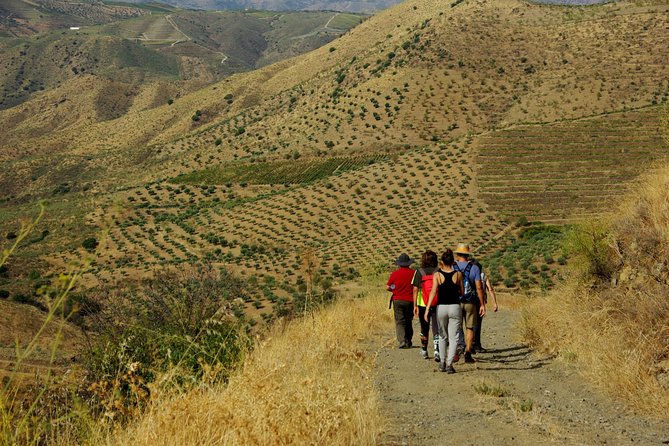 Upper Douro Walk & WineTour - FAQs