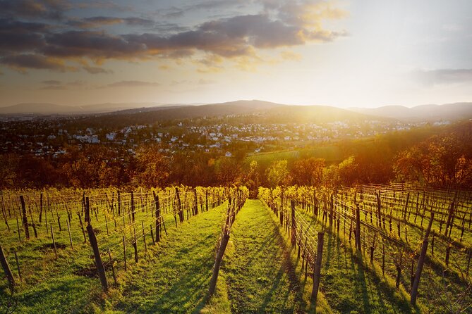 Vienna Wine Experience - Final Thoughts