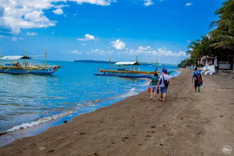 Whale Shark Interaction at Donsol Sorsogon by ZCHEDULISTA - Practical Tips for Travelers