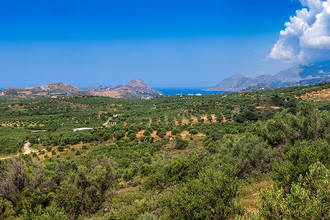 Wine, Beer, Olive Oil Tasting Private Tour (price per group of 6) - FAQs