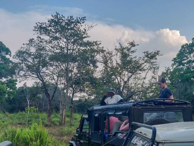 Yala National Park Private Safari from Ella - FAQ