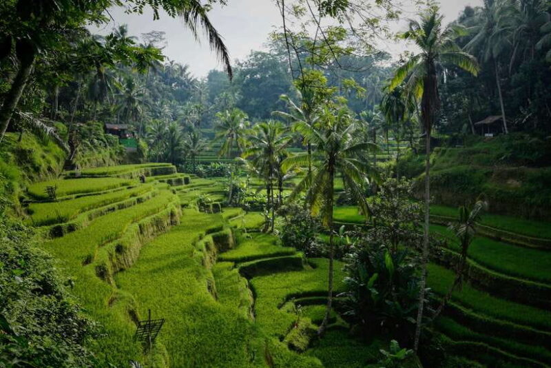 Yogyakarta : explore Nepal van Java + Selogriyo temple - Practicalities and Comfort