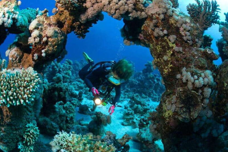 3 Fun Dives for Certified Diver Phi Phi islands &Shark Point - The Sum Up