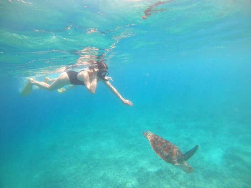 4 Hours Snorkeling 3 Gilis ( Trawangan,Meno, Gili air) - FAQ