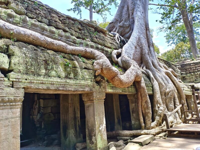 Angkor Wat: Highlights and Sunrise with Spanish Guide - FAQs
