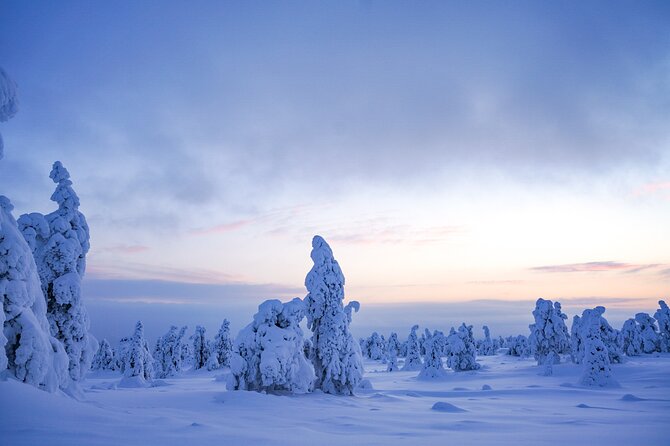 Arctic Adventure through Magical Frozen Forests of Riisitunturi - FAQ