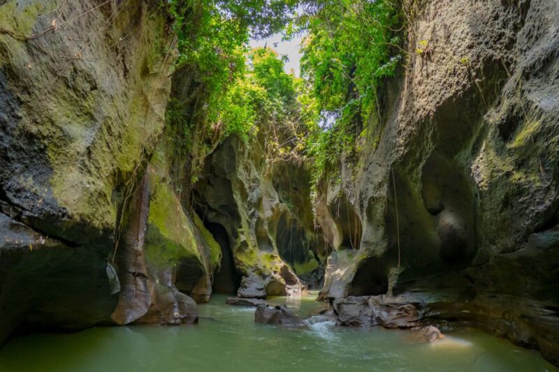 Bali: Customize Your Own Private Guided Tour in Bali - Practical Tips for a Smooth Experience