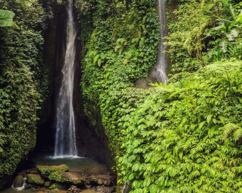 Bali: North Bali Tour with Jatiluwih, Ulun Danu, Waterfall. - FAQ