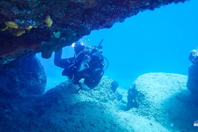 Beginner Diving Experience in Ligaria Bay - Who Would Love This Tour?