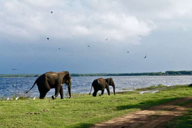 Bentota: 2-Day Private Tour Wild; Wonders And Galle Fort - FAQ