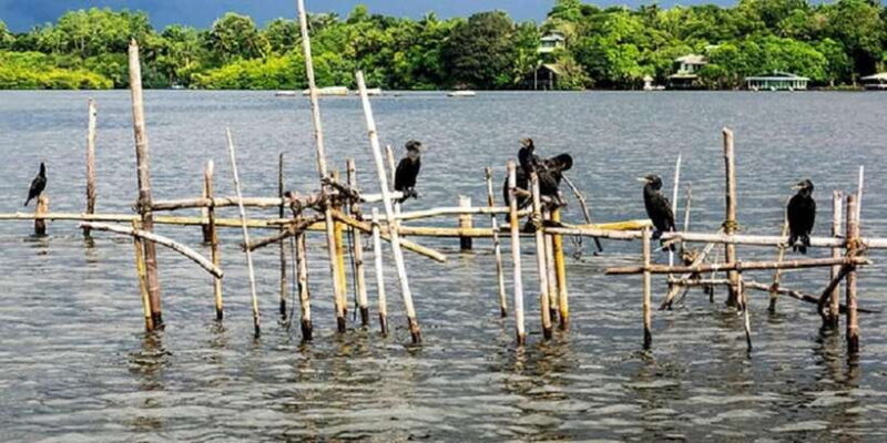 Bentota River Safari -Ahungalla/Bentota/Aluthgama/Kosgoda - FAQ